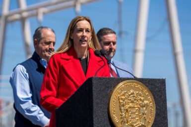 Sherrill taps Hertz-Shargel, leading grid modernization consultant, as ...